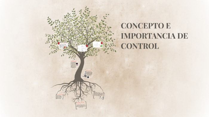 CONCEPTO E IMPORTANCIA DE CONTROL by Hilda Morales on Prezi