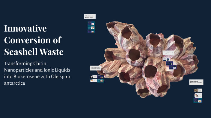 Innovative Conversion of Seashell Waste by kerolos Sheriffe on Prezi