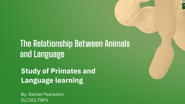 The Relationship Between Animals and Language by Rachel Pearlstein on Prezi