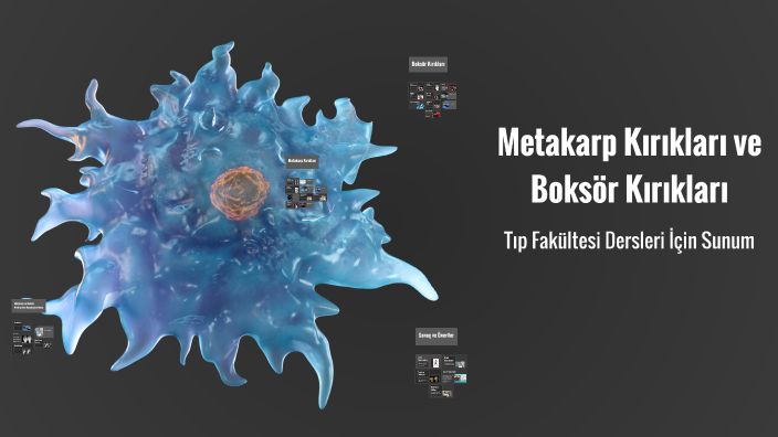 Metakarp Kırıkları ve Boksör Kırıkları by alperen uysal on Prezi