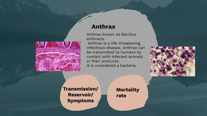 Infection Control PATHOGEN PROJECT by Kathy Perez on Prezi