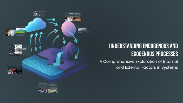Understanding Endogenous and Exogenous Processes by Lebron Enkhriimaa ...