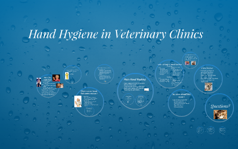 Hand Hygiene in Veterinary Clinics by Alex Greaves on Prezi