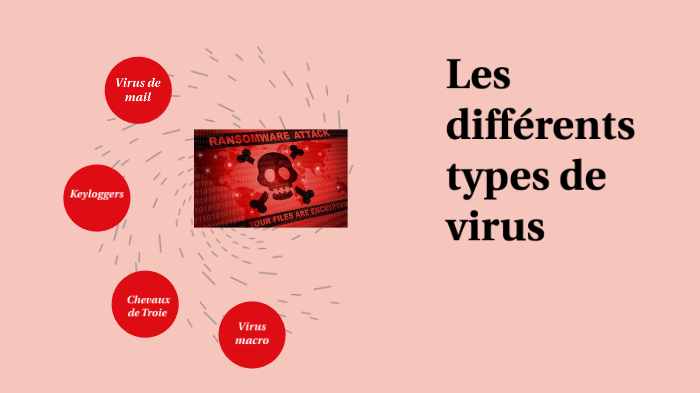 Les différents types de virus by camille sax on Prezi