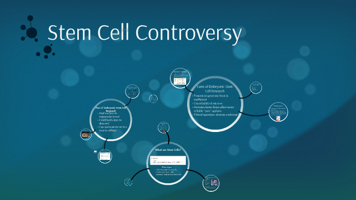 Stem Cell Controversy by Laura Mock on Prezi
