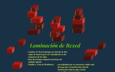 Laminación de Rexed by guillermo garcia nuñez on Prezi