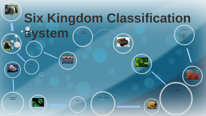 Six Kingdom Classification system by oliver baronick on Prezi