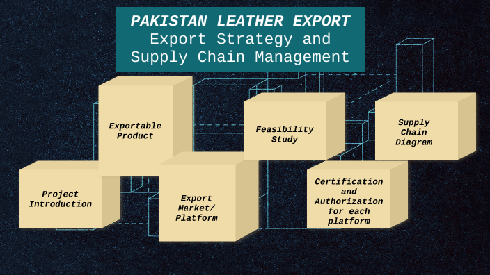 PAKISTAN LEATHER EXPORT Export Strategy and Supply Chain Management by ...