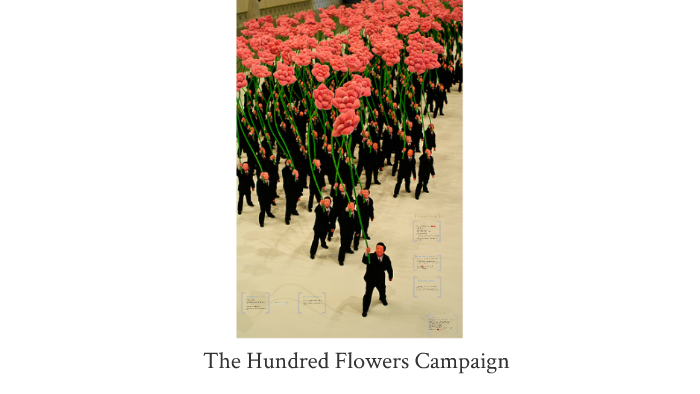 Hundred Flowers Campaign by Luise Förster on Prezi