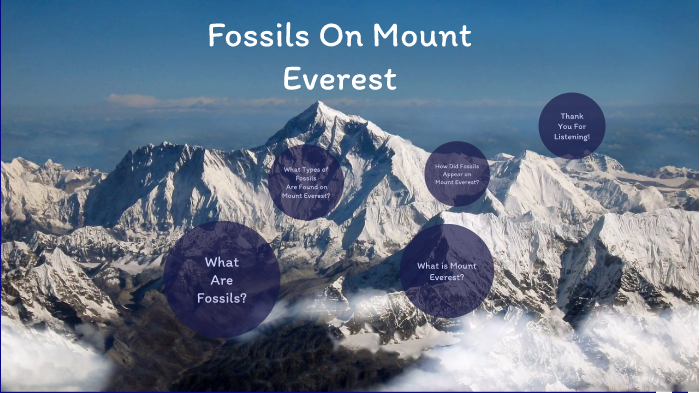 Fossils Found On Mount Everest Project by Elle McCoolog on Prezi