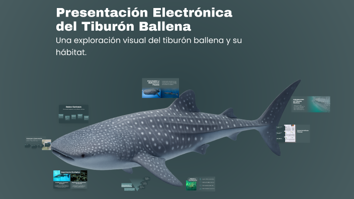 Presentación Electrónica del Tiburón Ballena by ari Valencia on Prezi
