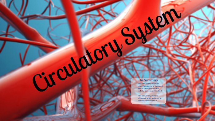 Living Environment- Circulatory System by Dana Luna