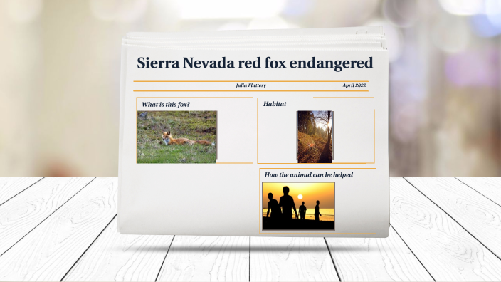 Red Fox presentation by julia Flattery on Prezi