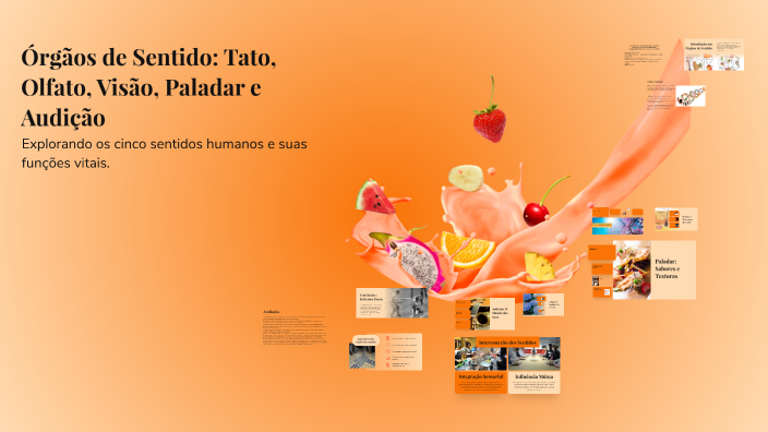 Órgãos de Sentido: Tato, Olfato, Visão, Audição e Paladar by Estéfani ...