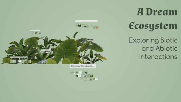 A Dream Ecosystem by Joshua Carter on Prezi