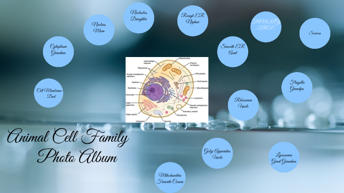 Cell Family Photo Album by Shellby Love on Prezi