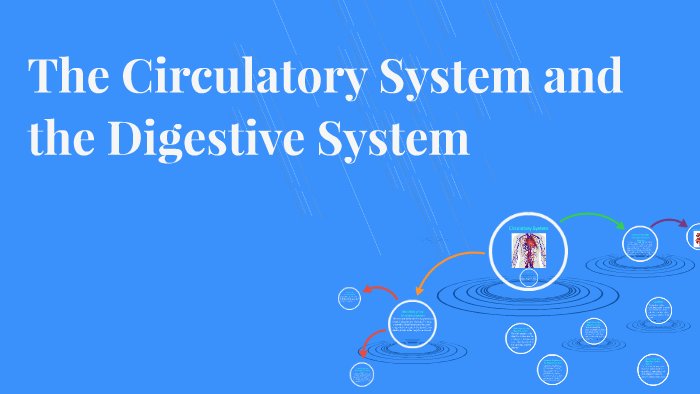 Circulatory and Digestive Systems by Katie Courtney on Prezi