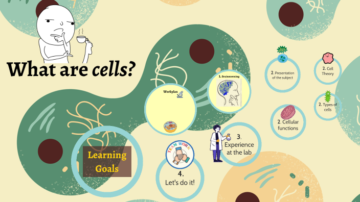 What are cells? by Cristina Gomez on Prezi