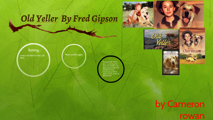 Old Yeller By Fred Gipson by billy bob on Prezi