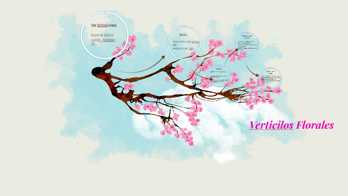 Verticilos Florales by Vane Alvez on Prezi