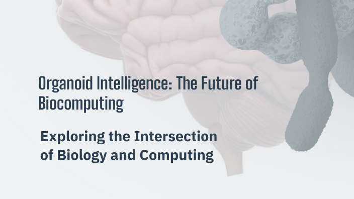 Organoid Intelligence: The Future of Biocomputing by jad Lablack on Prezi