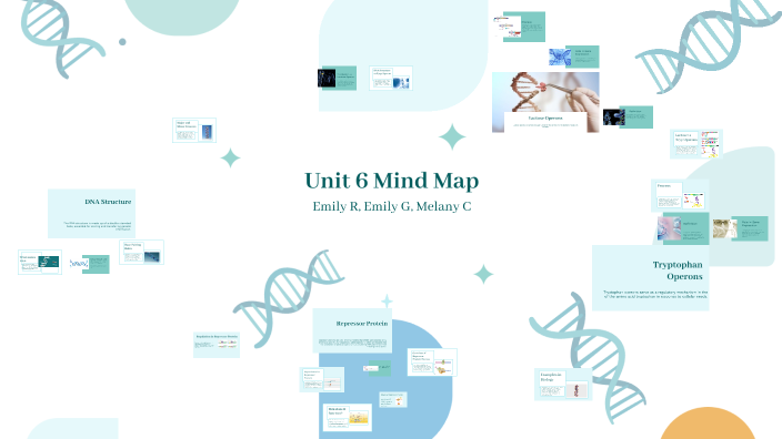 Unit 6 Mind Map by Melany Cano on Prezi