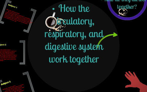 How the circulatory, respiratory, and digestive system work together by ...