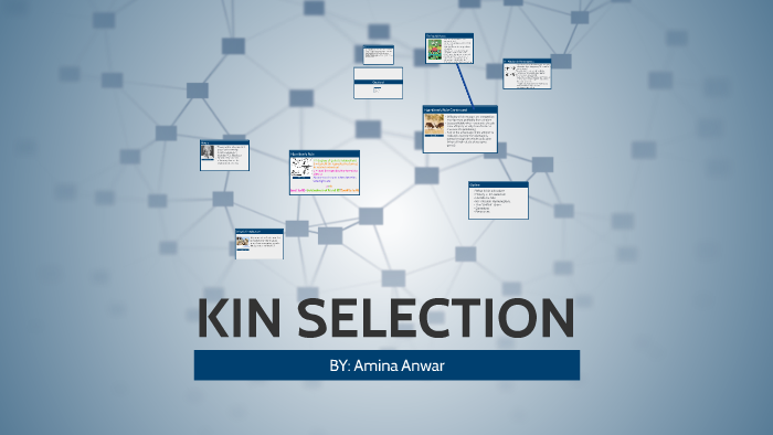 KIN SELECTION by Amina Anwar