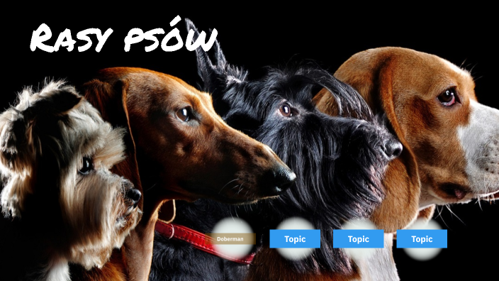 Rasy psów by Lo 1 on Prezi