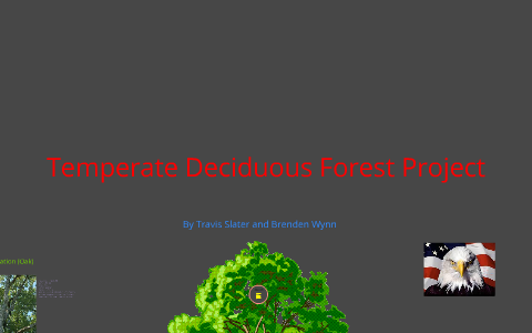Temperate Deciduous Forest Project by Brenden Wynn on Prezi