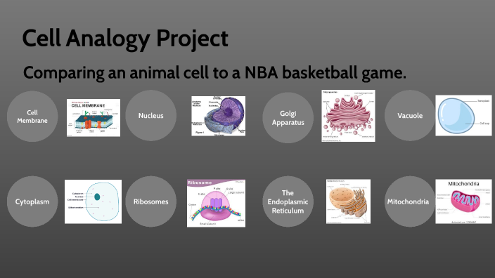 Cell Analogy Project by Andrew H on Prezi