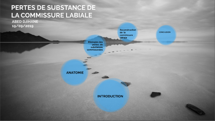 PERTES DE SUBSTANCE DE LA COMMISSURE LABIALE by djihane abed on Prezi