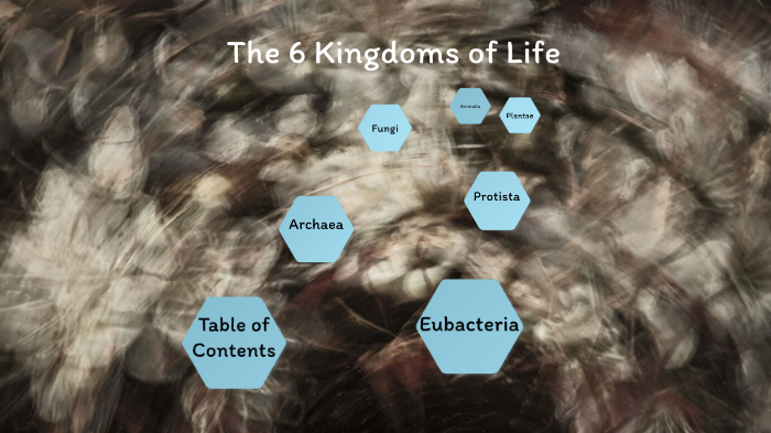 Kingdoms Powerpoint by Jonathan May on Prezi