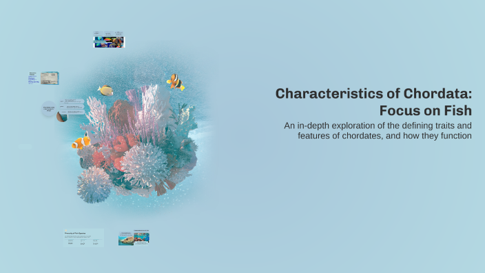 Characteristics of Chordata: Focus on Fish by lucy leonard on Prezi
