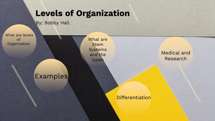 Levels of Organization by Bobby Hall [STUDENT] on Prezi