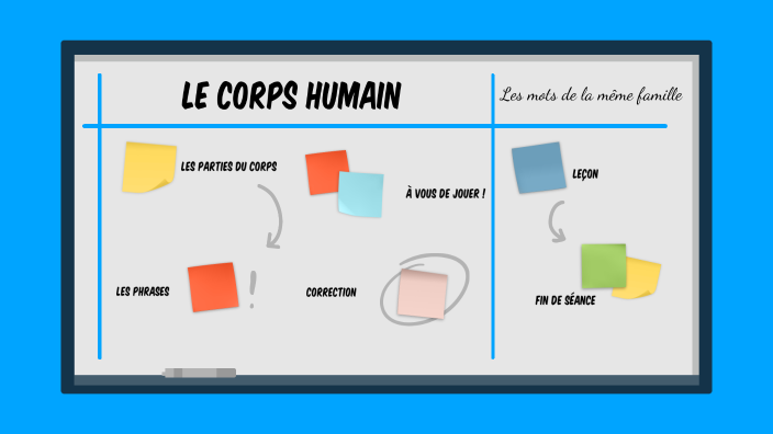 Lexique : Le corps humain by Audrey gil on Prezi