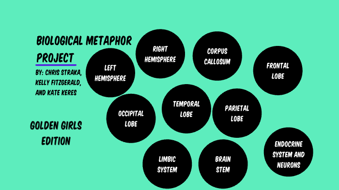 biological metaphor project by Christopher Straka on Prezi