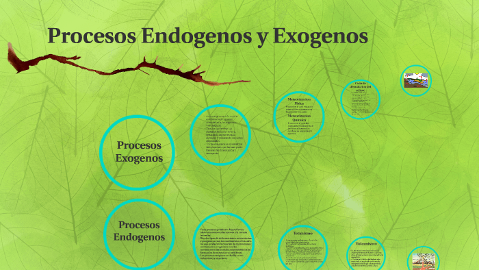 Procesos Endogenos y Exogenos by Agustina Ramirez on Prezi