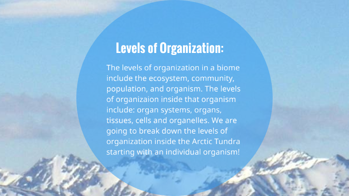 Arctic Tundra- Levels of Organization by Natalie Dubak on Prezi