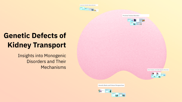 Genetic Defects of Kidney Transport by Mercedes Malone on Prezi
