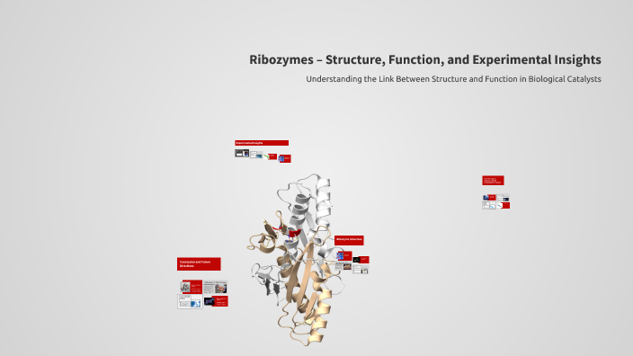 Ribozymes – Structure, Function, and Experimental Insights by Gihan Mohamed on Prezi