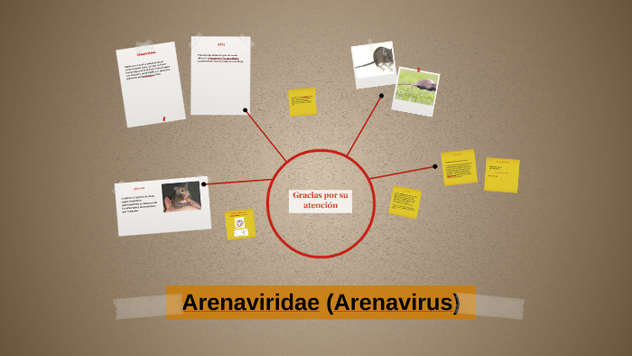 Arenaviridae (Arenavirus) by Valentina Cortés on Prezi