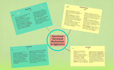 Neural and Hormonal Mechanisms in Aggression by Sarah Creckendon on Prezi