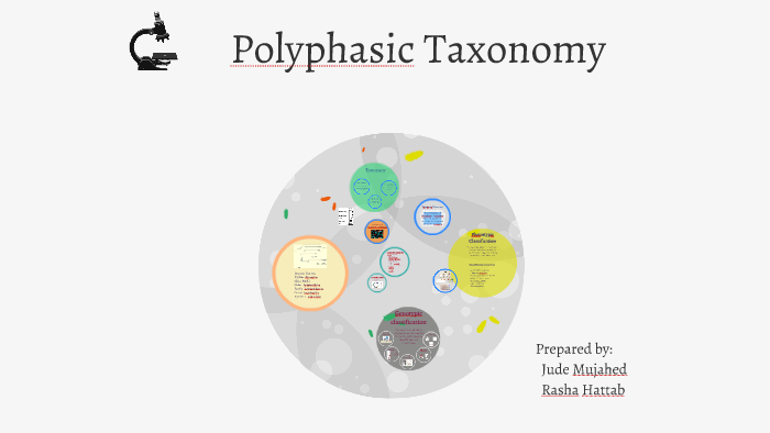 Polyphasic Taxonomy by Jude Mujahed on Prezi