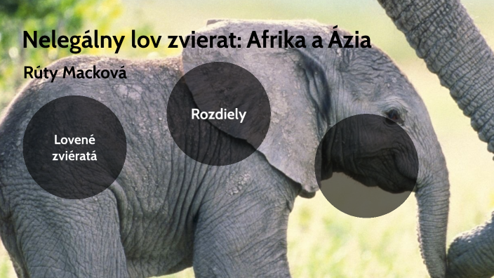 Ohrozené zvieratá: Afrika a Ázia by Naomi Chang on Prezi