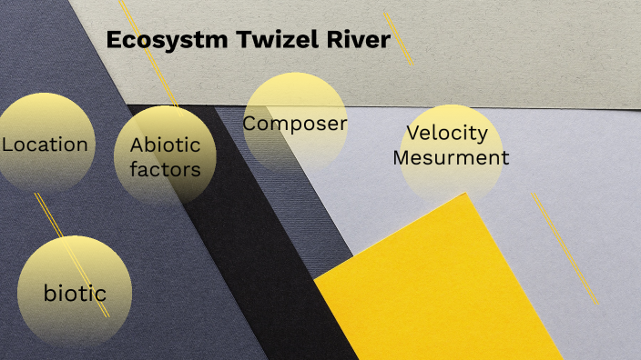 Ecosystem Twizel River by Chase Baty on Prezi
