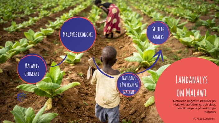 The hidden child labour on tobacco farms by Alice Lundgren on Prezi