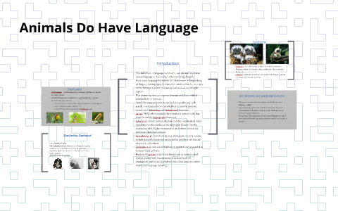 Do animals have language? by Briana Schwapp on Prezi