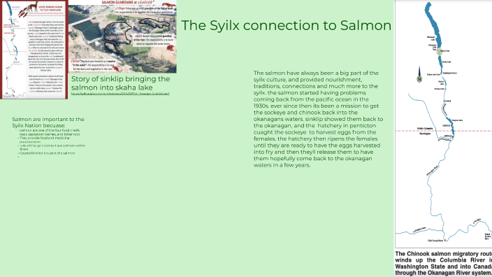The Syilx Peoples and Their Connection to Salmon by sloan halliwell on ...