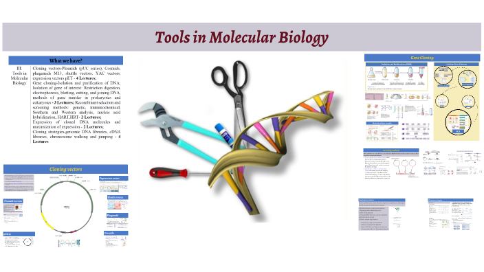 Tools in Molecular biology by Shivam kumar Sriwas on Prezi